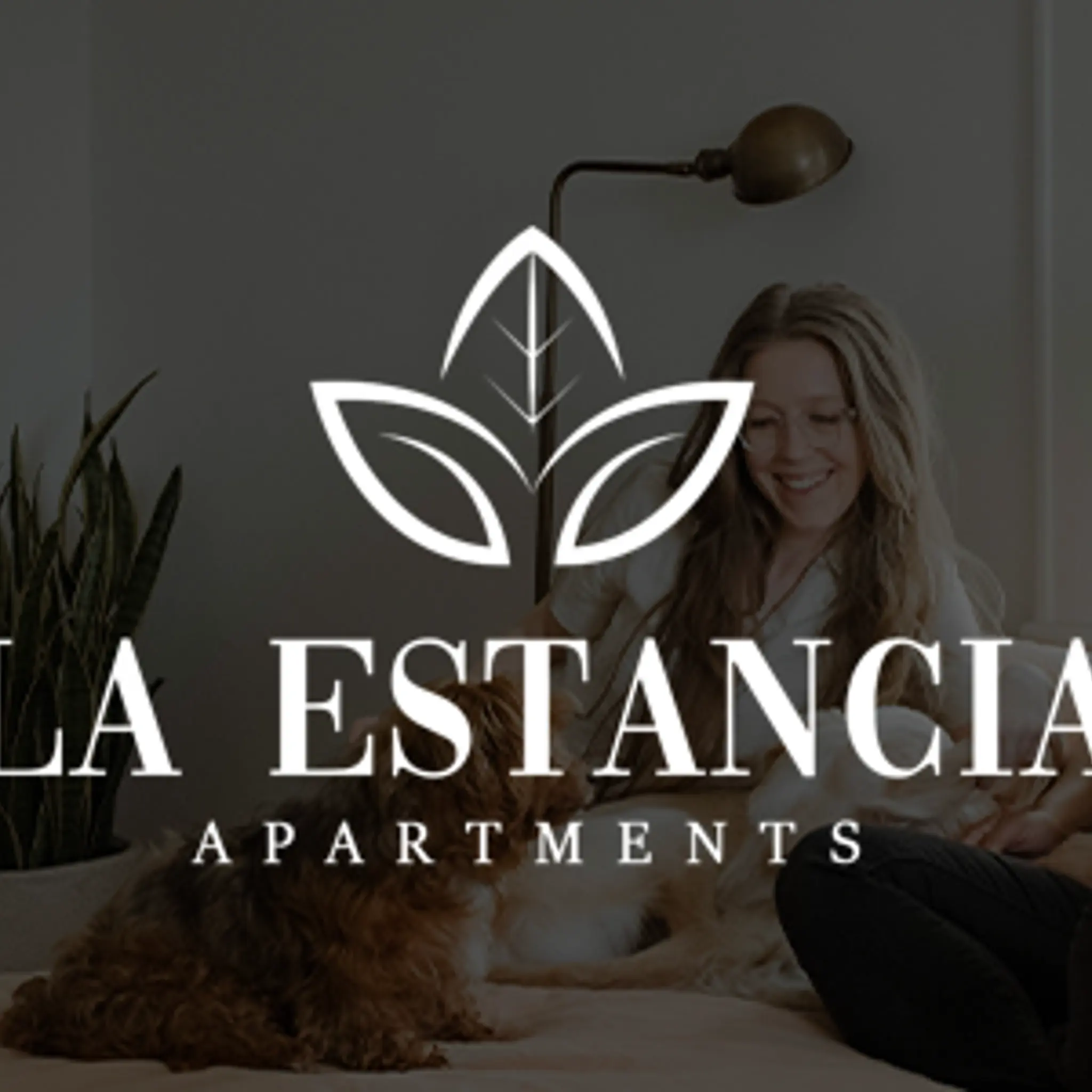 Home | Tropical Pointe